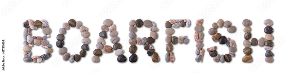 The word "BOARFISH" is lined with shells and stones of different shapes ...