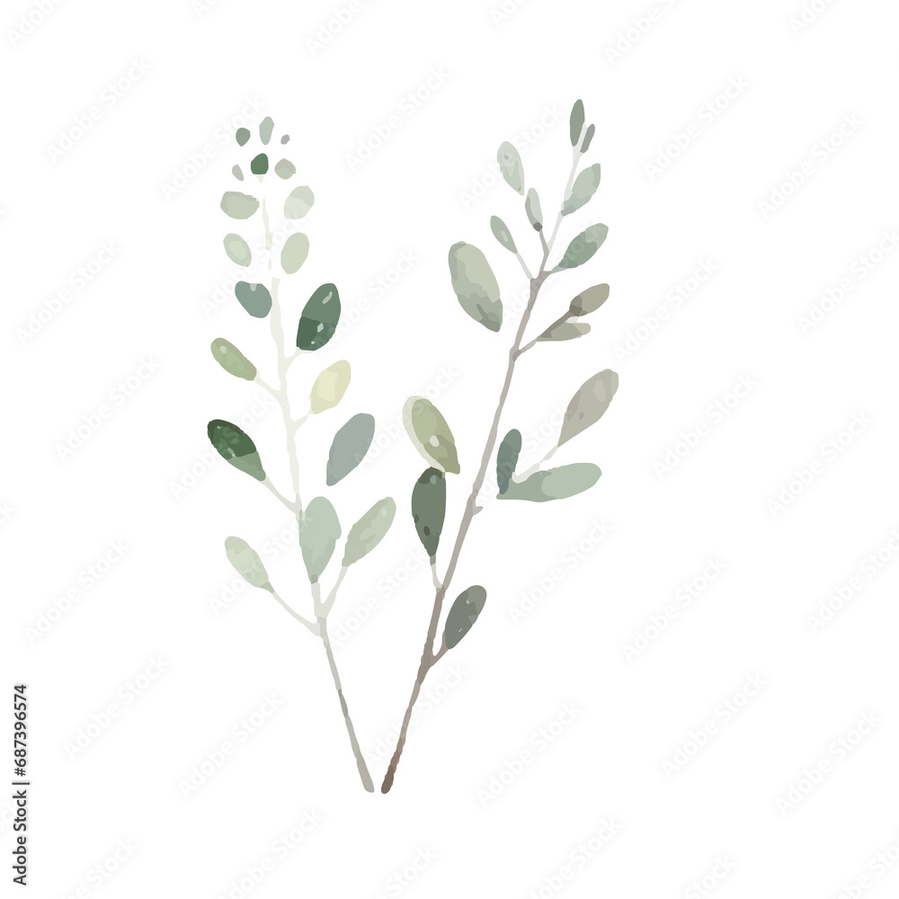 Watercolor Eucalyptus clipart, Eucalyptus leaves, Eucalyptus branches ...