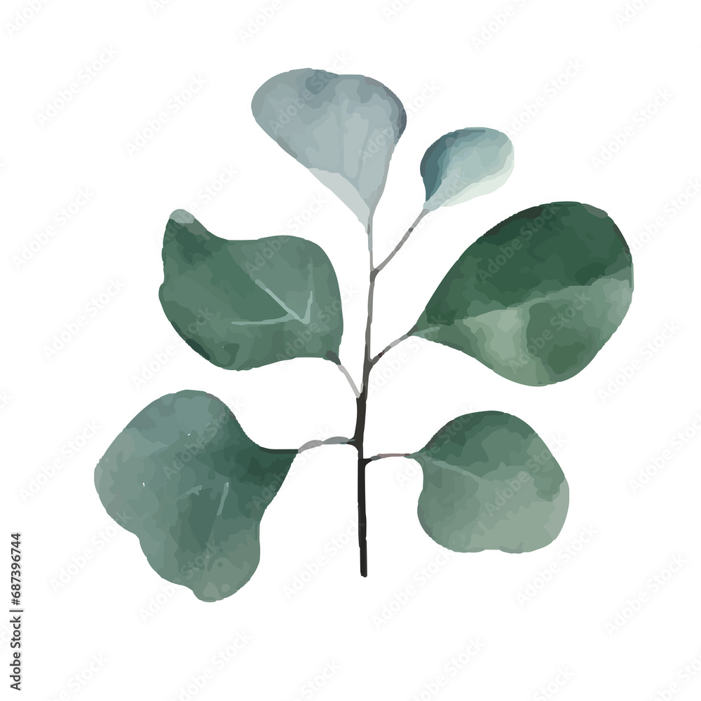 Watercolor Eucalyptus clipart, Eucalyptus leaves, Eucalyptus branches ...