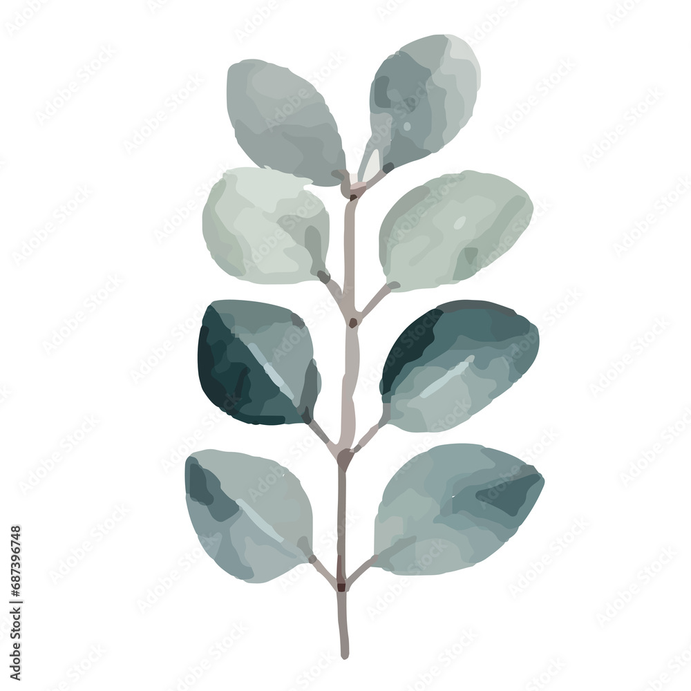 Watercolor Eucalyptus clipart, Eucalyptus leaves, Eucalyptus branches ...