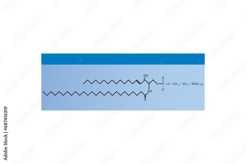 Diagram showing schematic molecular structure of Sphingomyelin Blue ...