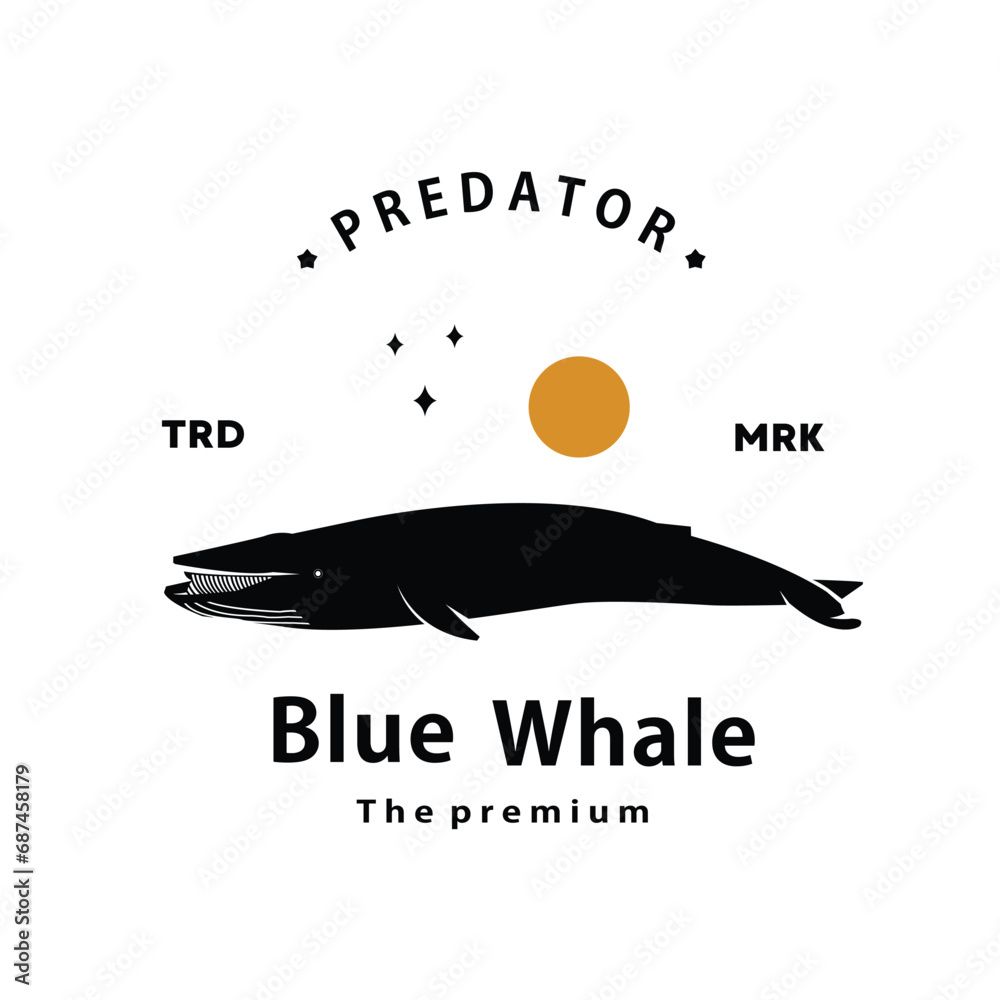 vintage retro hipster blue whale logo vector outline silhouette art ...