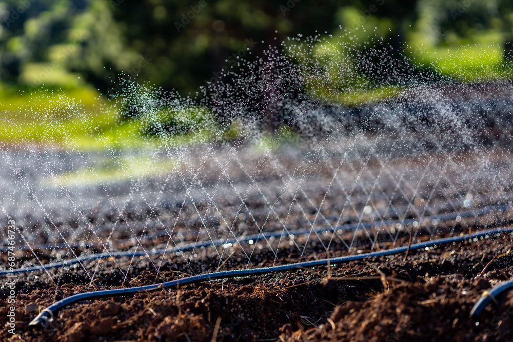The hose of irrigation sprinkle watering system for agricultural ...