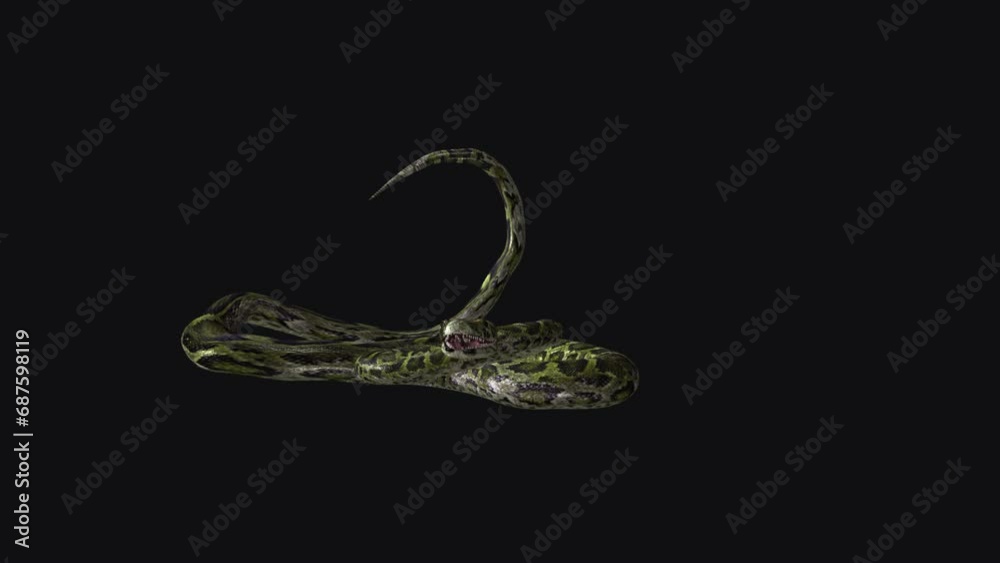 Green Snake on Ground - Close nonvenomous serpent, aggressively ...