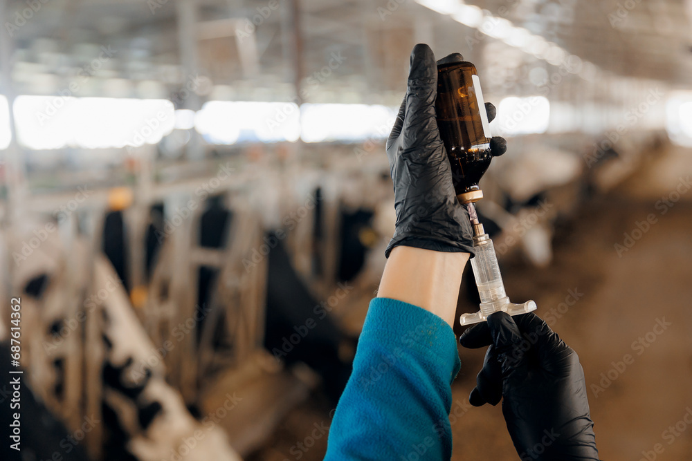 Woman veterinarian holding syringe with vaccine on background of dairy ...