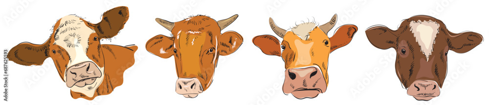 Dairy cows head portrait, set of stylized vector characters of various ...
