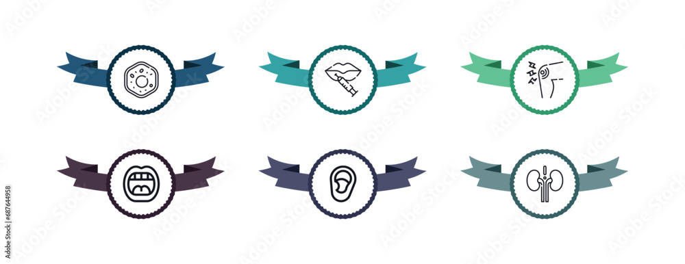 skin cells, big lips, kneecap, mouth open, ear lobe side view ...