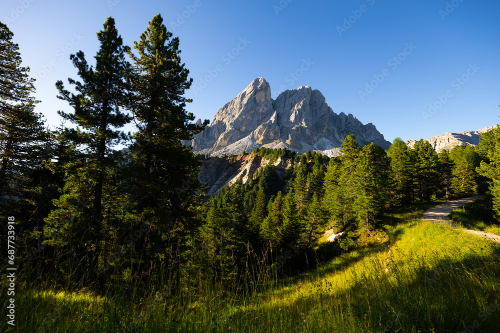 Breathtaking scenery featuring verdant alpine woodlands at foot of ...