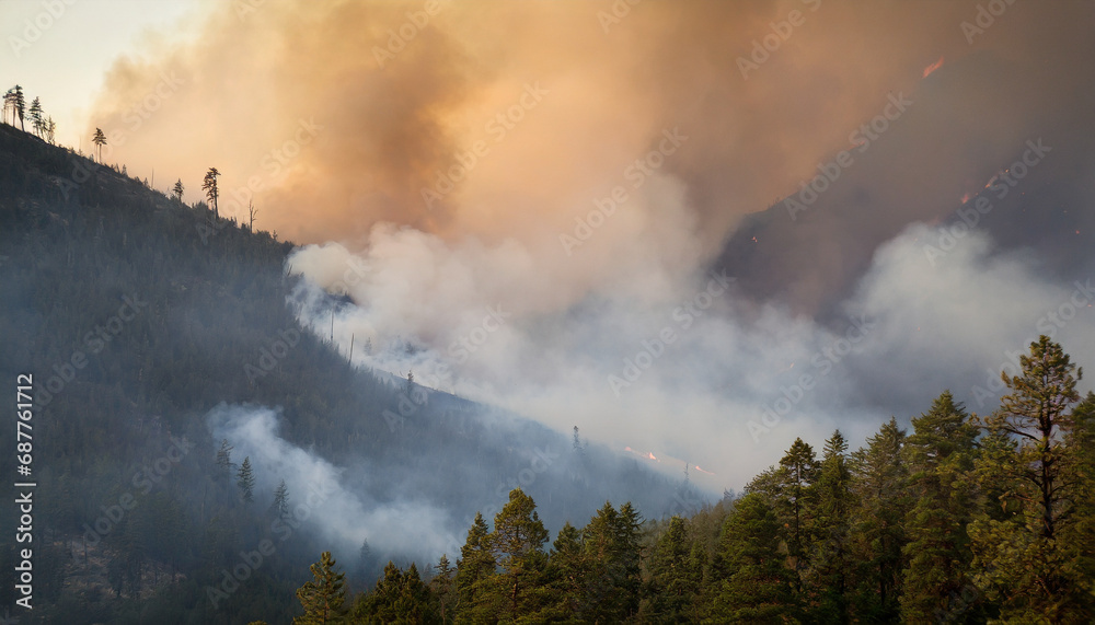 Intense forest fire raging through trees, billowing smoke against a ...