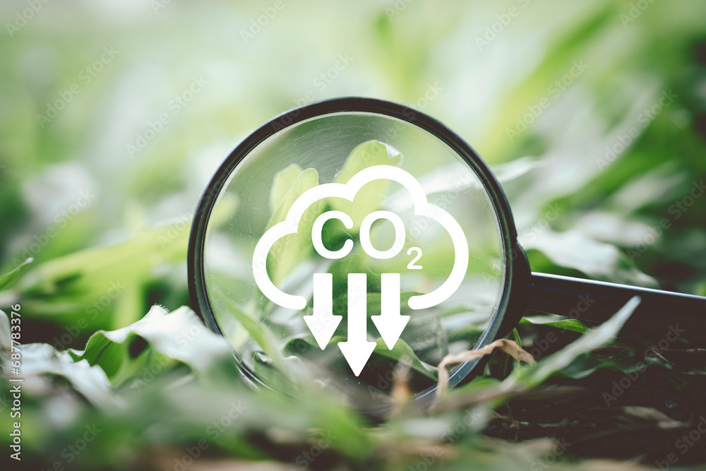 CO2 reducing icon on magnifier glass on green grass for decrease CO2 , carbon footprint and ...