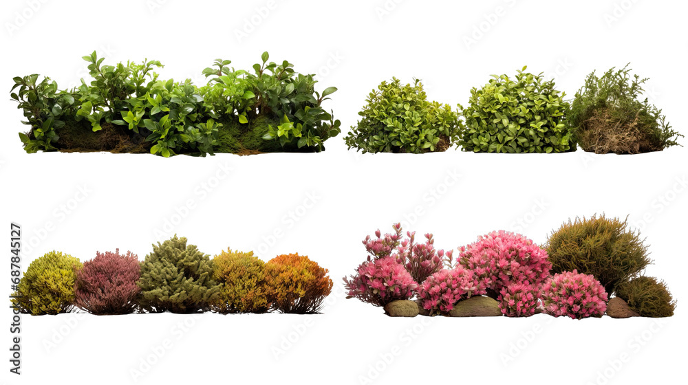 Collection of PNG. Shrubs isolated on a transparent background. Stock ...