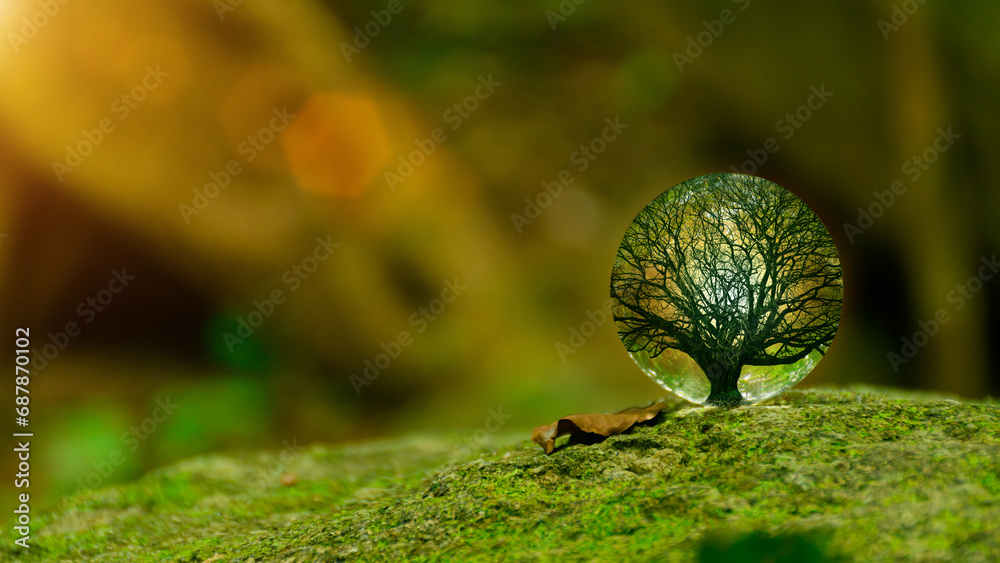 World Environment Day concept. Globe Glass with big tree. Green ...
