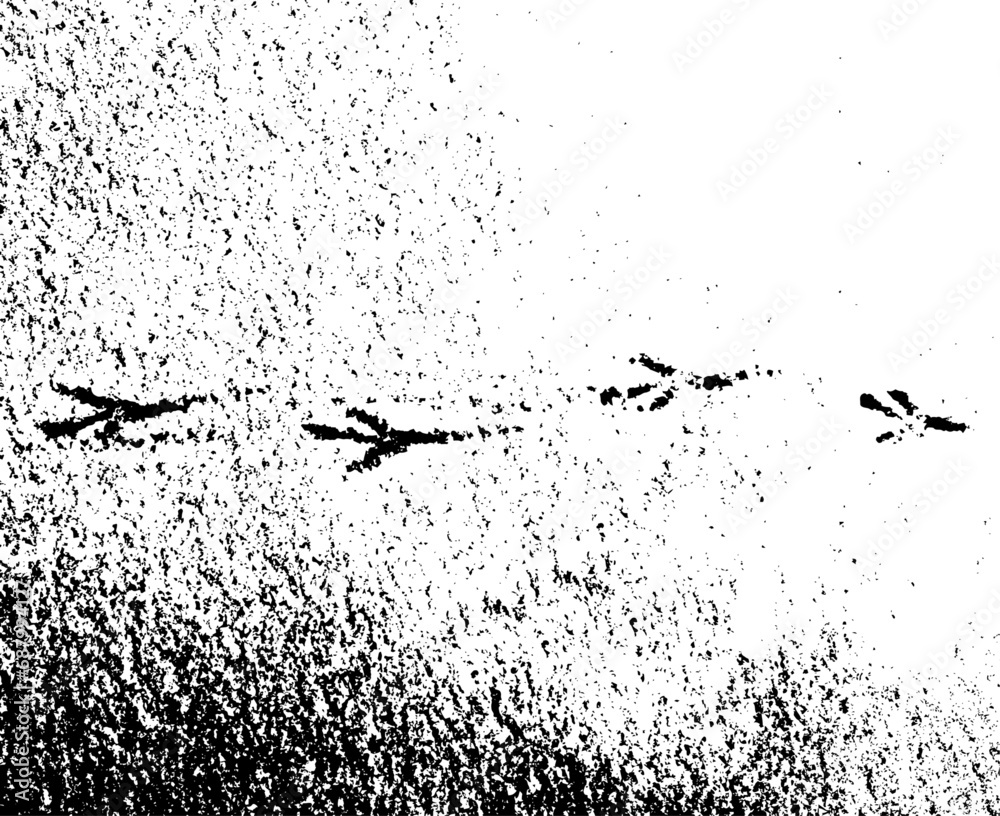 Vector grunge texture of footprints of bird paws on snow. Using the ...