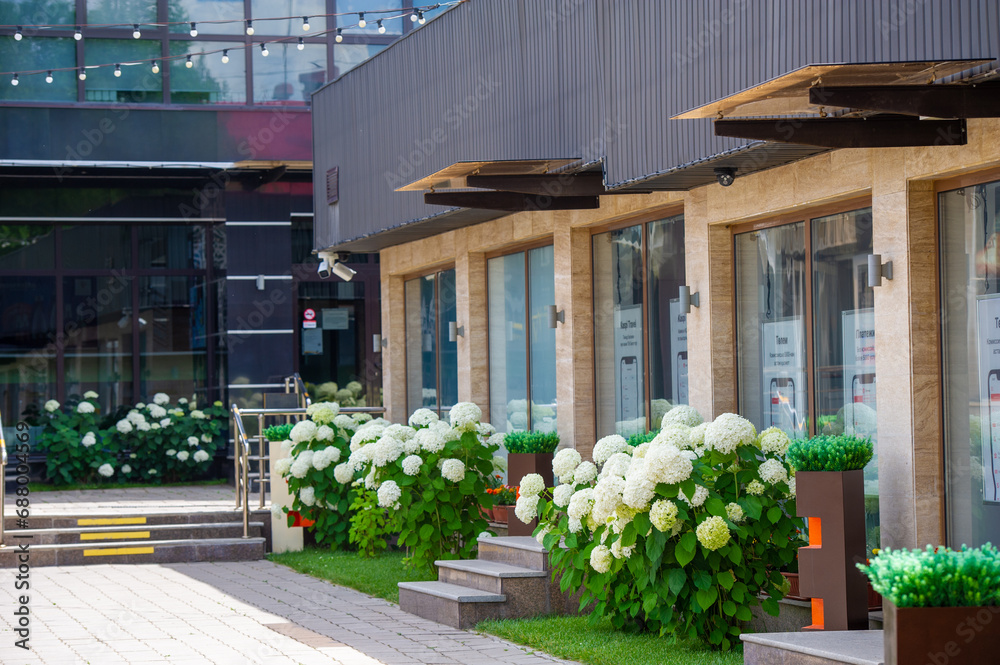 Design modern and sustainable urban spaces. Creating innovative and ...