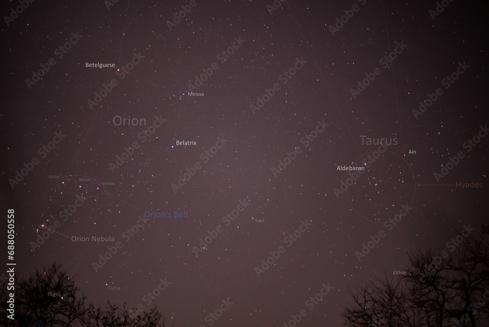 The constellation Orion and its belt in the dark night sky. Details of ...