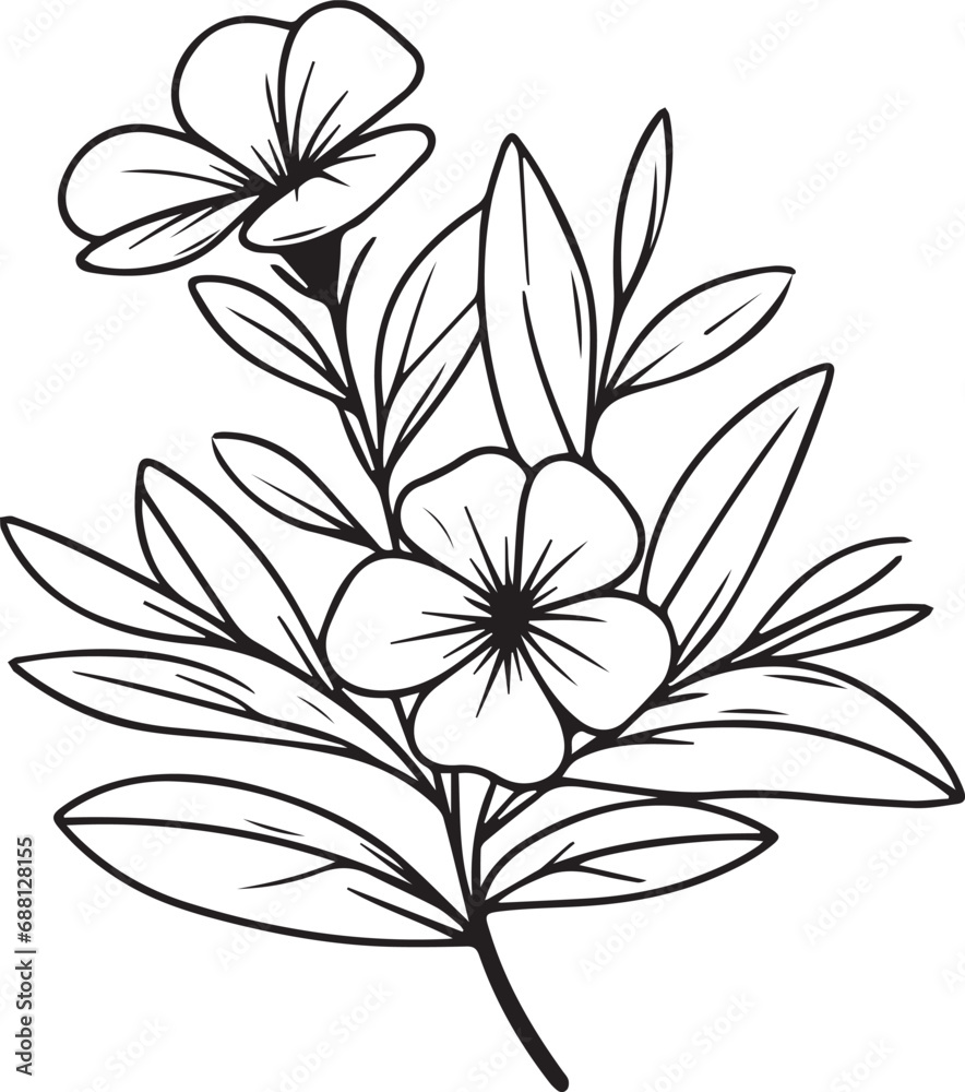 Vector sketch of flowers. periwinkle line drawings, hand-painted ...