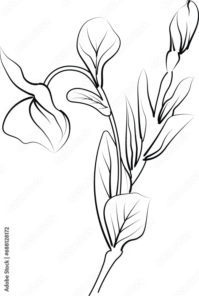 Cute flower coloring pages, periwinkle drawing, yellow marigold flower ...