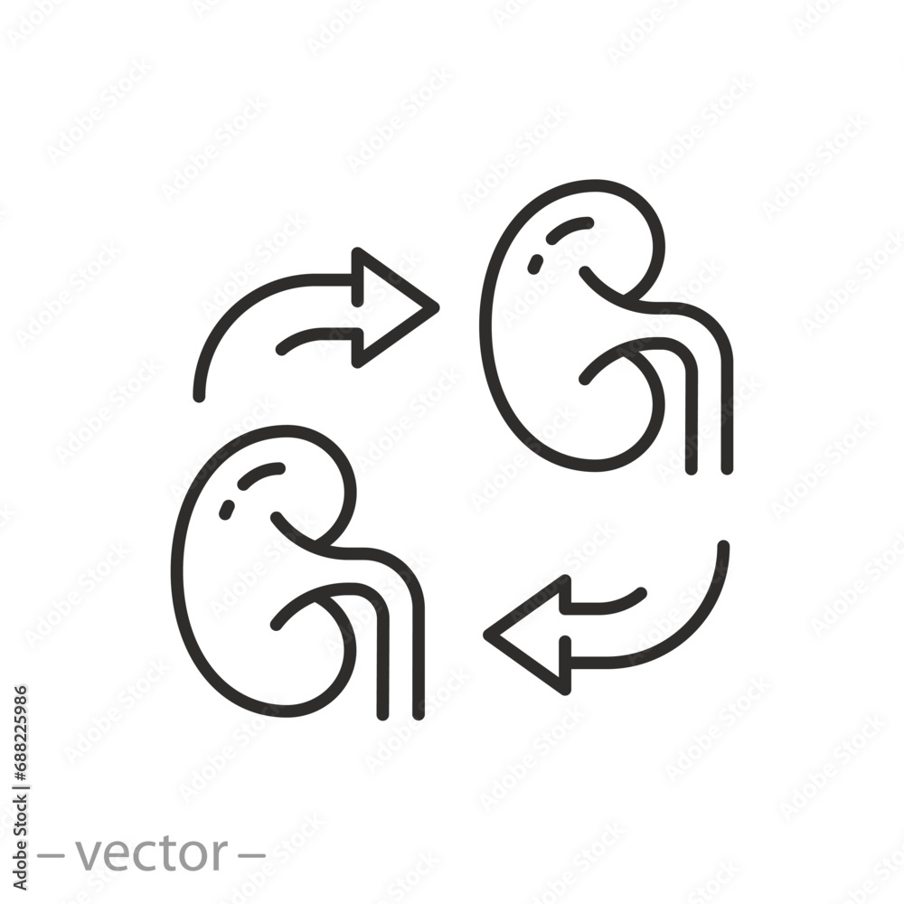 kidney transplant icon, organ donor concept, thin line symbol on white ...