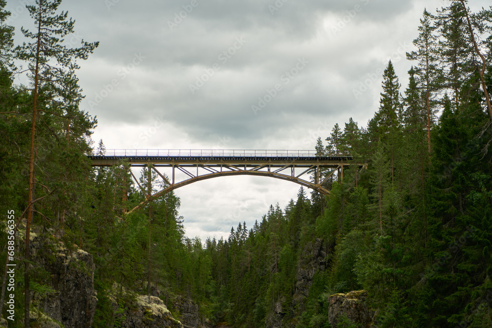Wooden railroad bridge over pine tree forest in nature Stock Photo ...