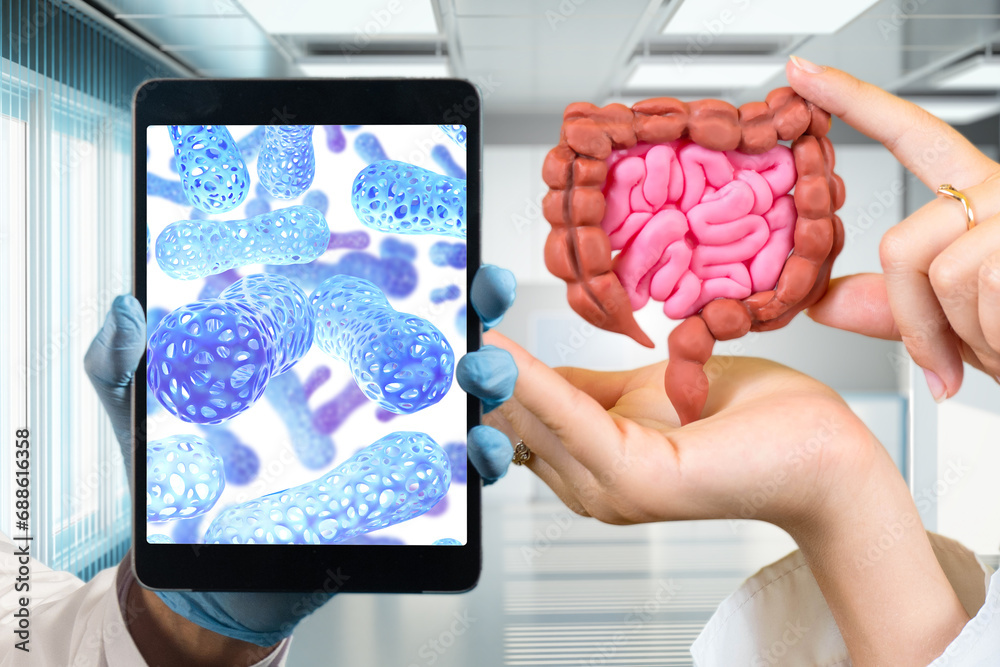 Probiotics for intestinal tract. Intestines in hands. Probiotic ...