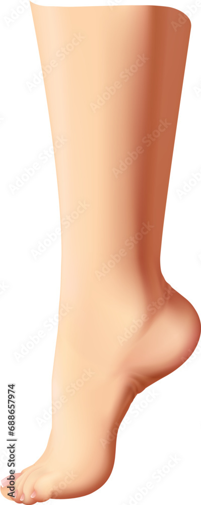 legs in boots Compression Stocking Vector a leg by Cecebelle on ...