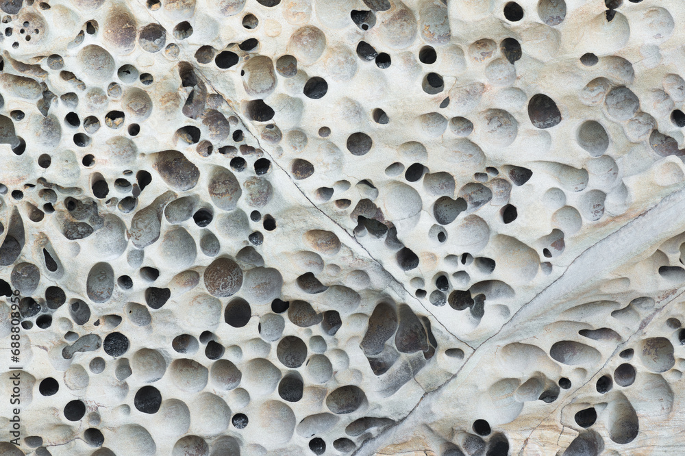 Weathered honeycomb rock texture with organic patterns Stock Photo ...