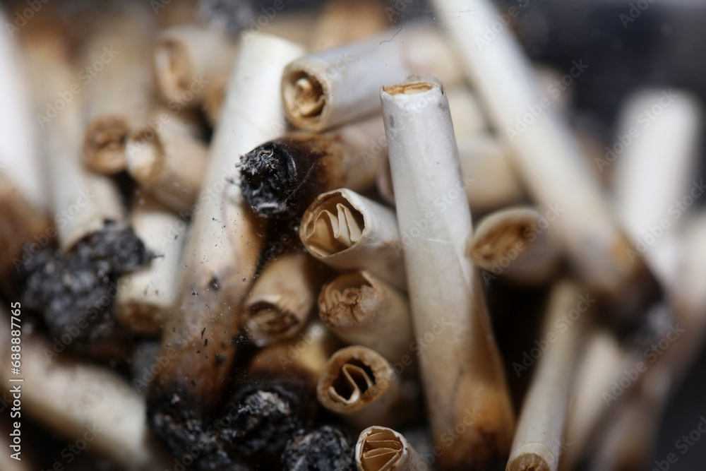 Lots of smoking joints tips in transparent glass macro Medical cannabis ...