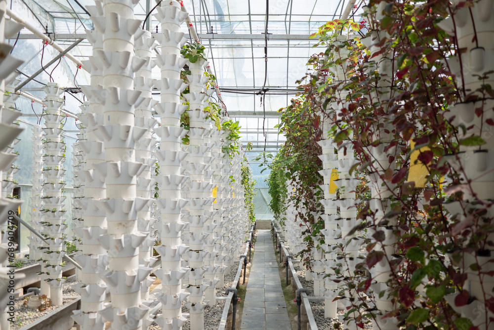 Sustainable Agriculture. Hydroponics based production method farm ...