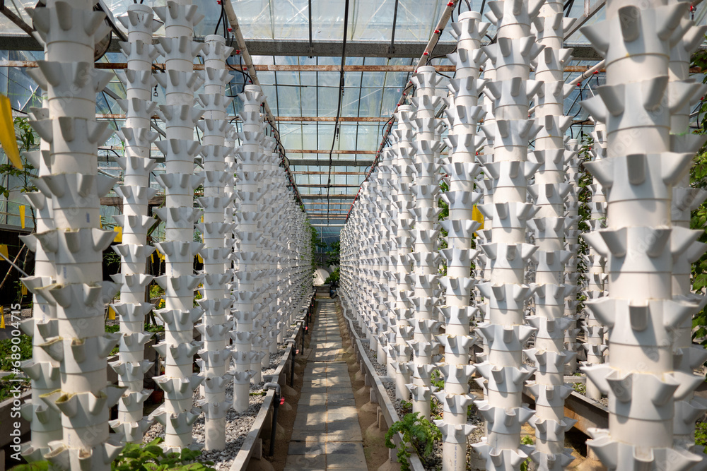 Sustainable Agriculture. Hydroponics based production method farm ...