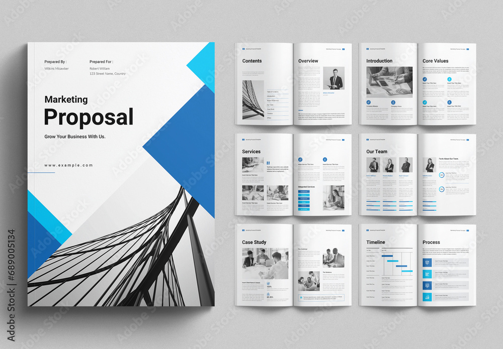Marketing Proposal Template Design Layout Stock Template | Adobe Stock