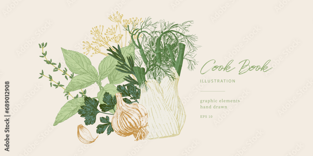 Culinary illustration. Vintage drawing of spices and culinary herbs ...