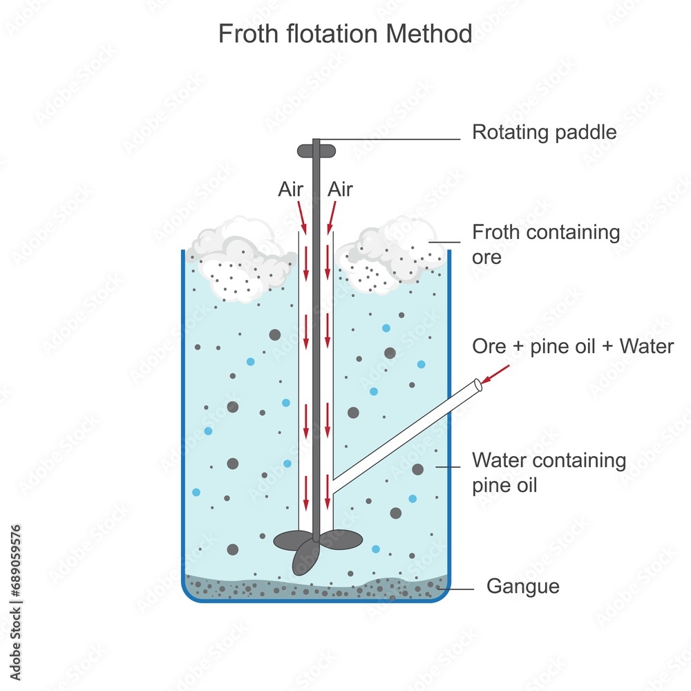 Froth flotation, a mineral separation technique, relies on the ...