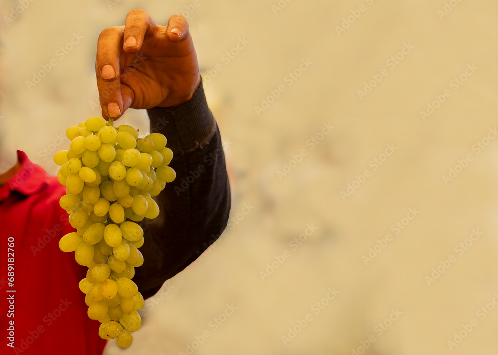 Grapes on the market stall. Man holding bunch of grapes. Stock Photo ...