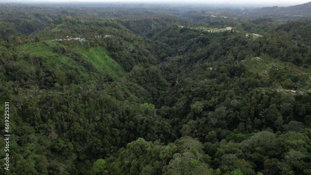 Green tropical rainforest, overgrown large ravine, aerial shot of ...