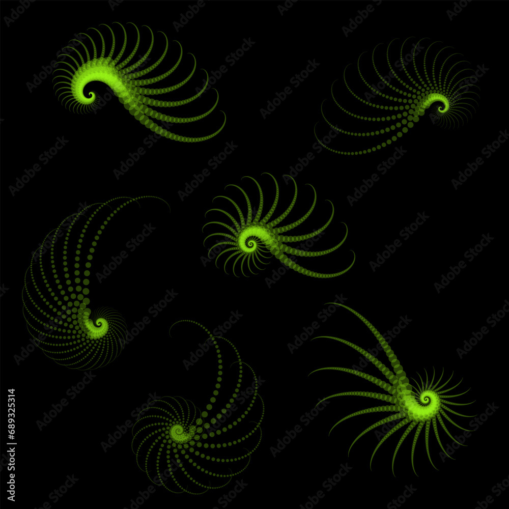 Biomimicry Nature Inspired Design - Set of Seashell Vector Illustration ...