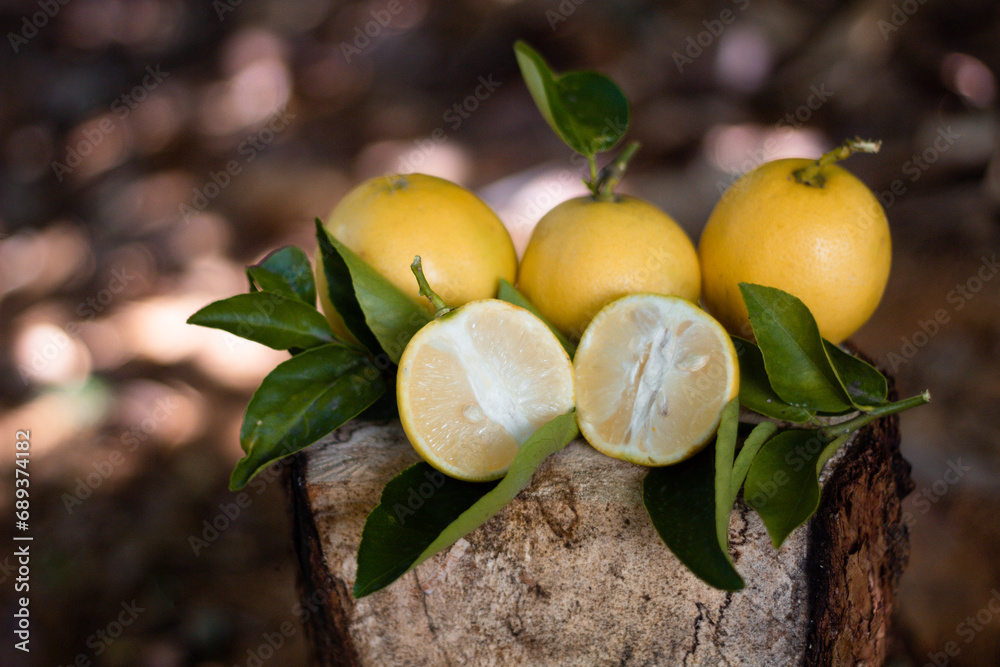lima dulce maduro para comer fruto de los andes, delicioso, dieta ...