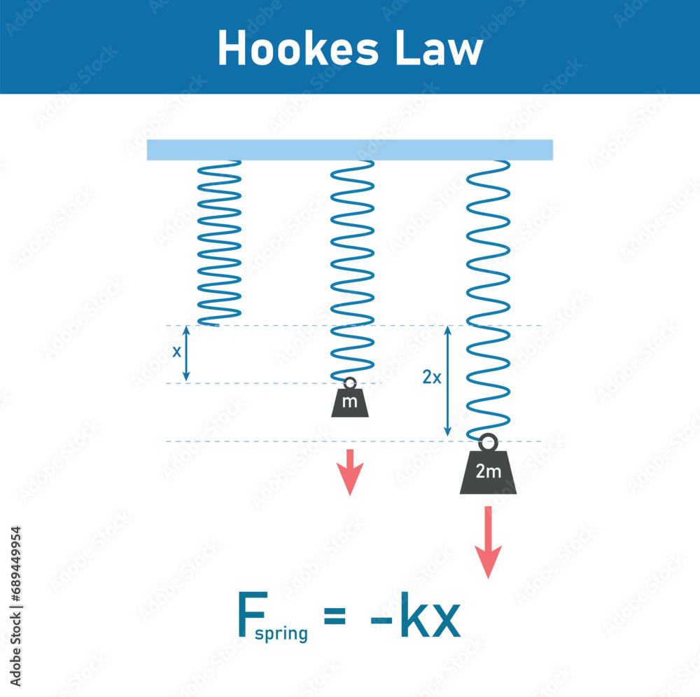 Hooke's law in physics. Spring force weight equation. Scientific ...