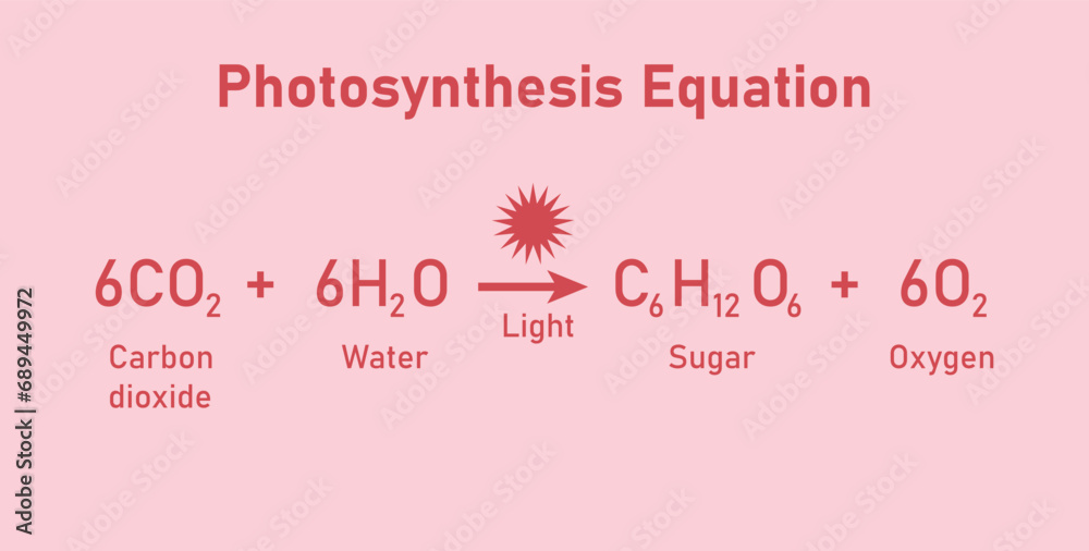 Vecteur Stock Photosynthesis equation. Carbon dioxide, water, sugars ... Vecteur Stock Photosynthesis equation. Carbon dioxide, water, sugars ...