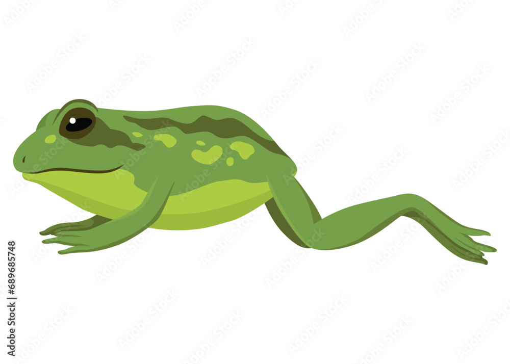 Frog jumping animation icon. Sequences or footage for motion design ...