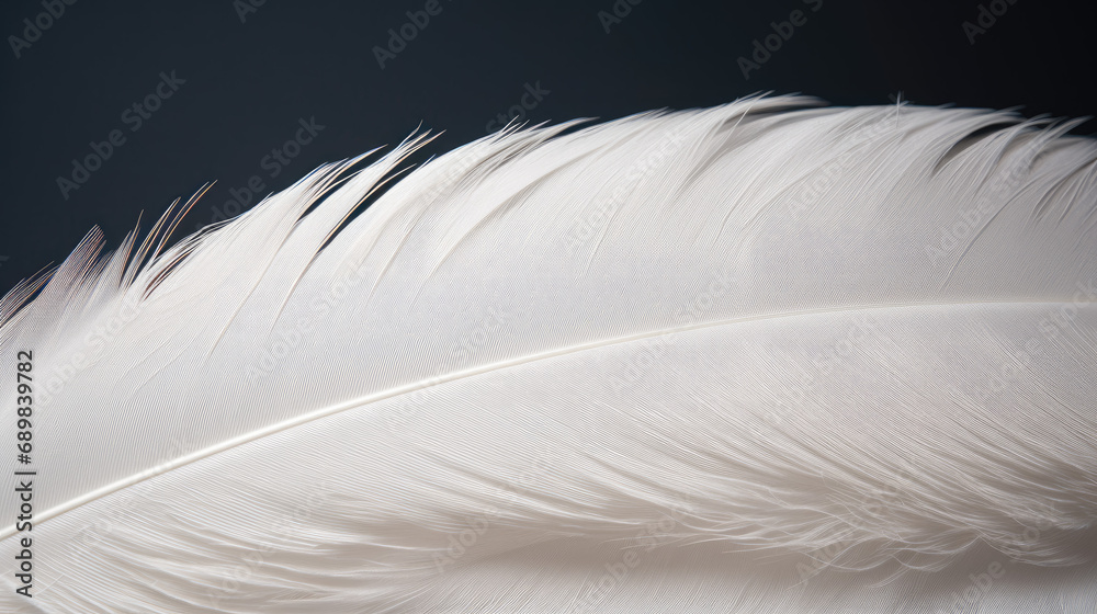 Detailed shot of a plain, white feather with subtle textures. Stock ...