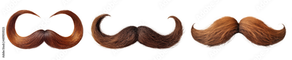 Set of different male moustaches close-up cut out on a transparent ...
