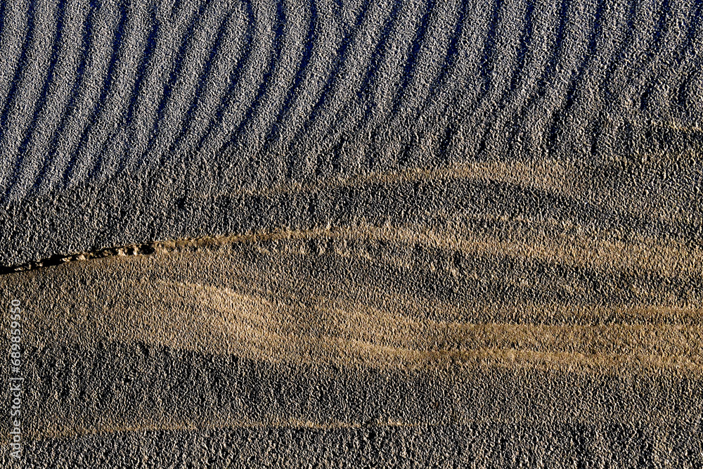 Cross section of laminated sand dune with ripple marks, Waldport ...