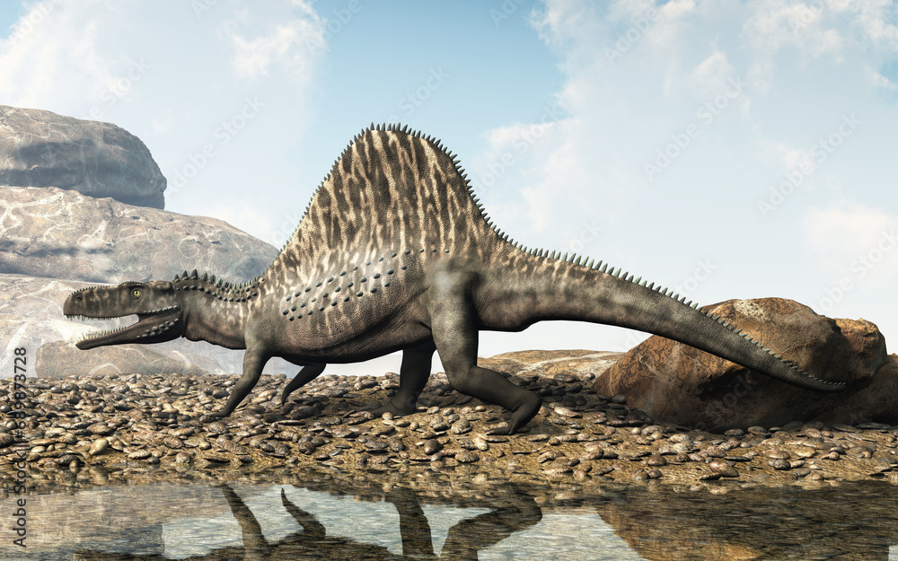 Arizonasaurus, a genus of extinct reptile, known for having sail made ...