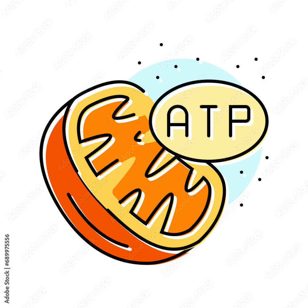 cellular respiration biochemistry color icon vector. cellular ...