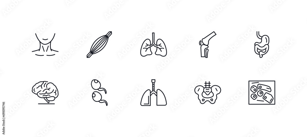 outline icons set from human body parts concept. editable vector such ...