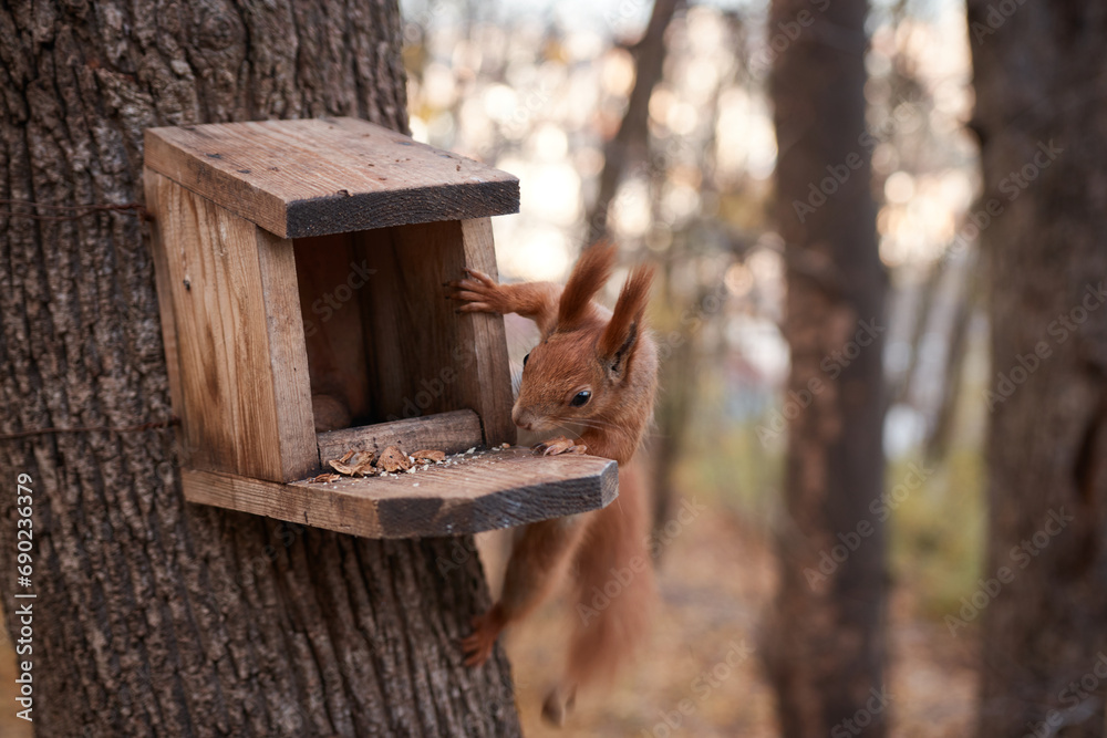 Explore the enchanting moment of nature captured in this heartwarming ...