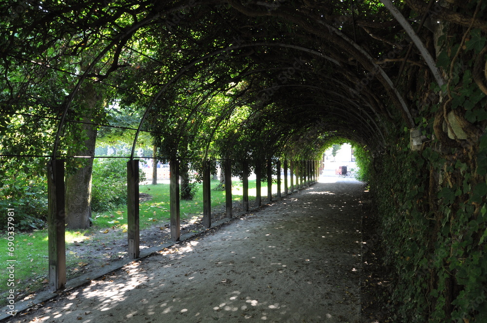 Stone pathway and long spring arbor covered by branches with green ...