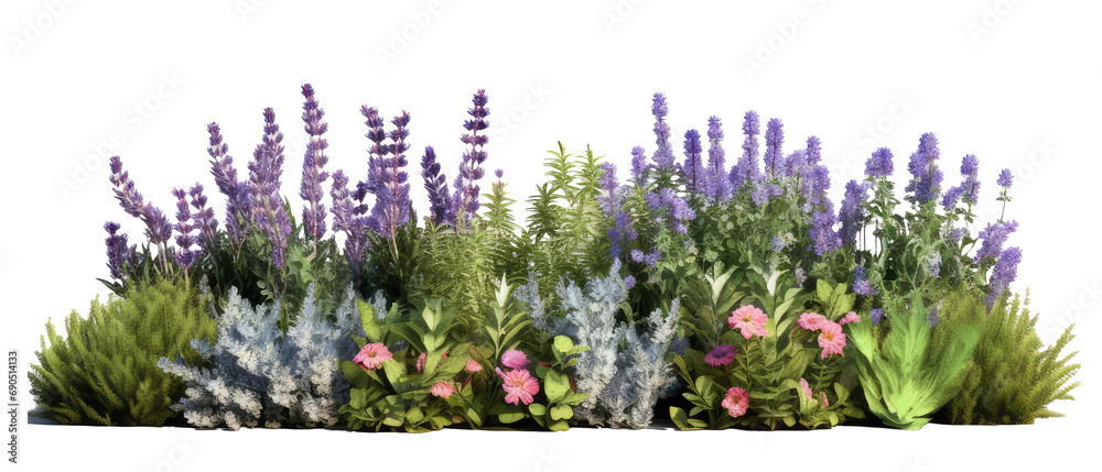 beautiful greenery and shrubbery, with small colorful flowers isolated ...