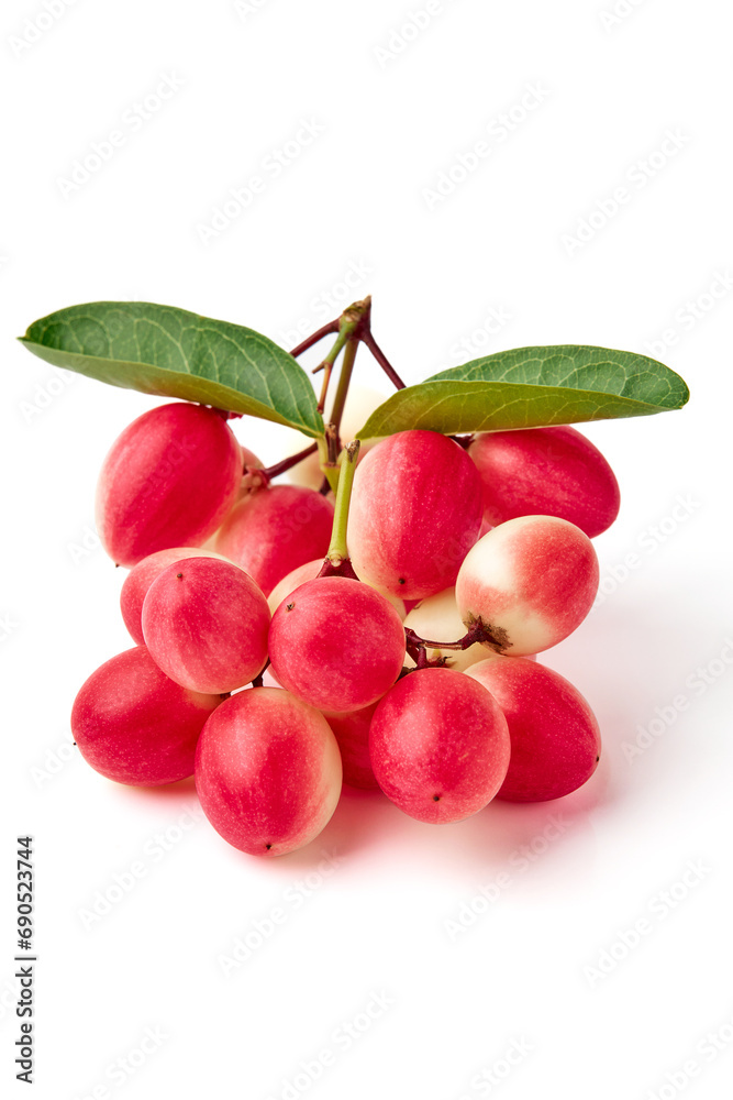Karonda and leaves isolated on white background. Karonda is fruit in ...