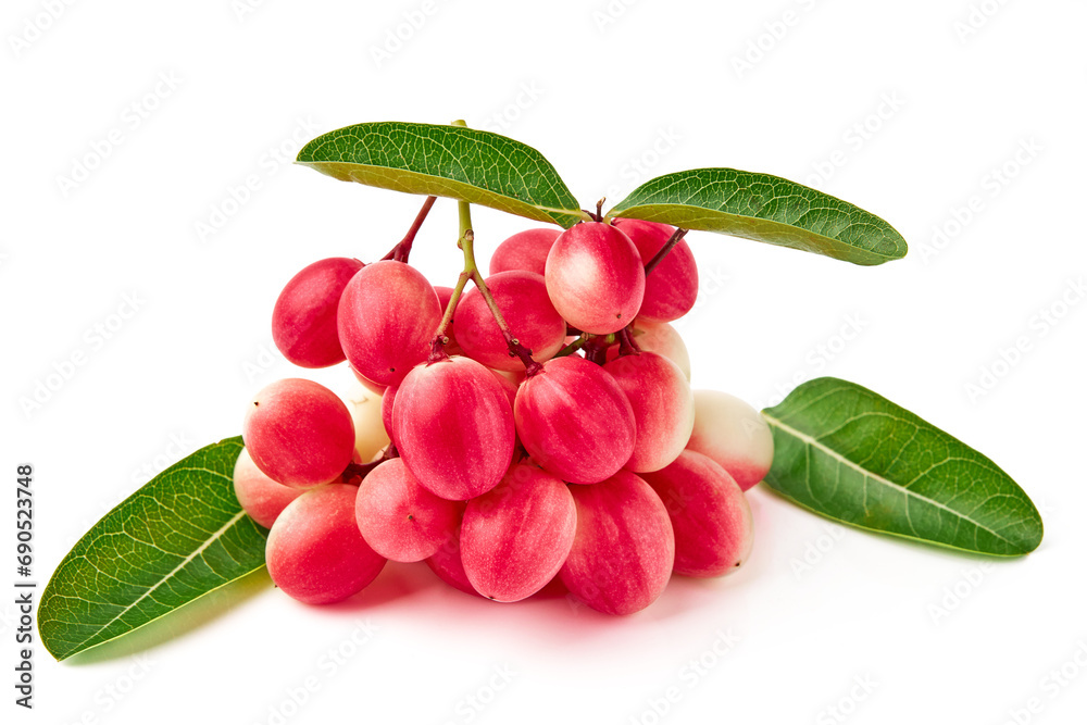 Karonda and leaves isolated on white background. Karonda is fruit in ...